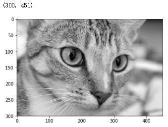 Python数据分析：scikit-image_skimage版本号-CSDN博客