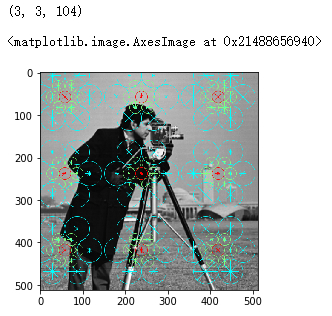 Python数据分析：常用图像特征_skimage.feature sift-CSDN博客