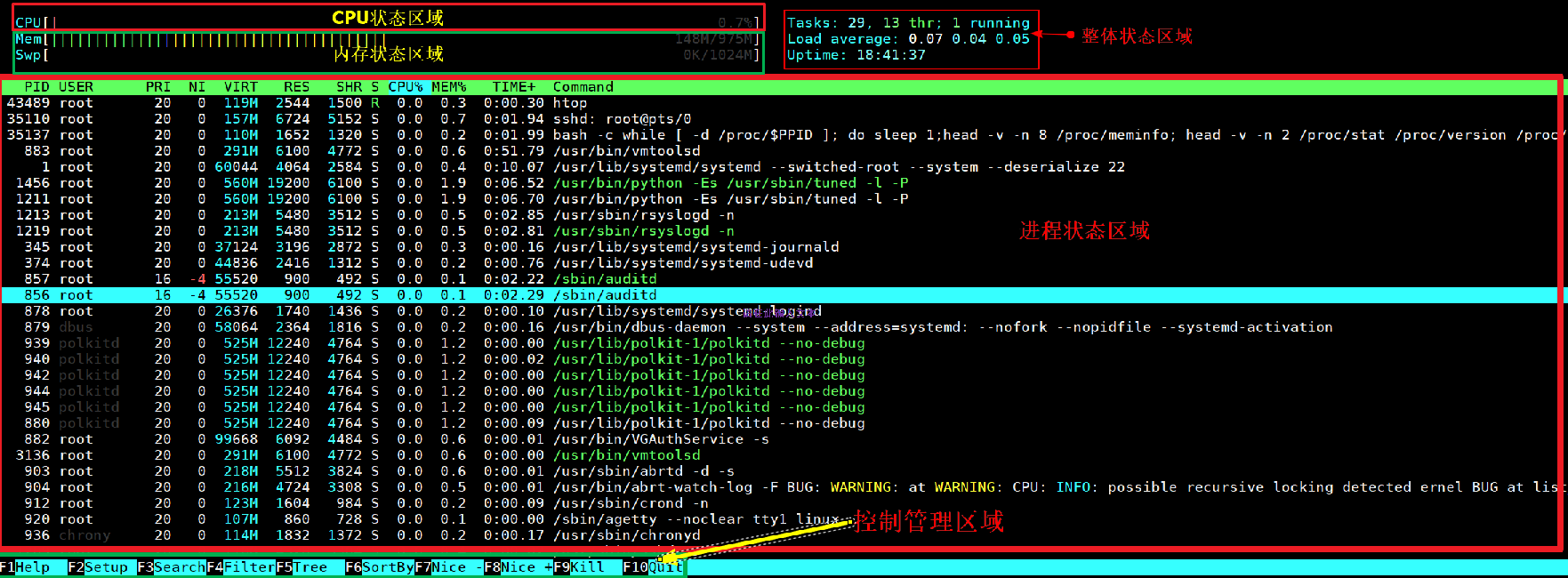 Linux系统状态命令htop最详细解释说明(没有之一!)_htop红色绿色-CSDN博客