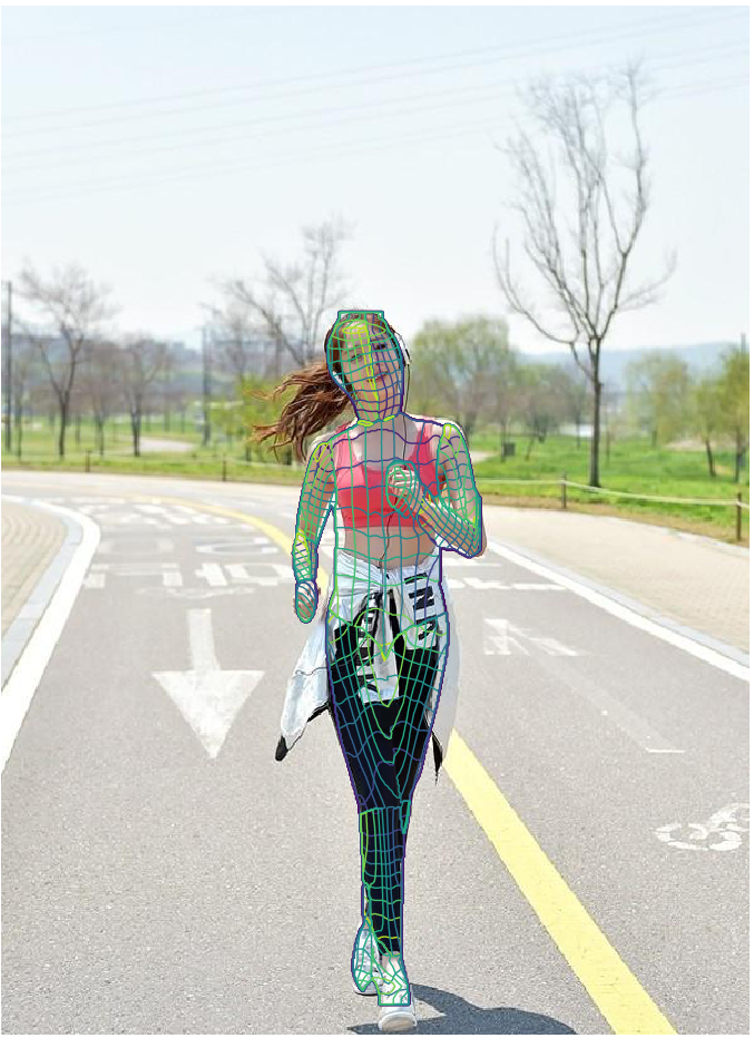 Densepose Pytorch实现 Facebook 三维立体 3d 人体姿态估计 人体姿态迁移 姿态识别 动作识别 Densepose Pytorch Csdn博客