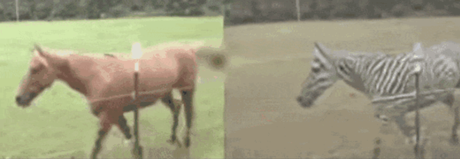 十款神奇的GAN，总有一个适合你_比较流行的gan网络-CSDN博客