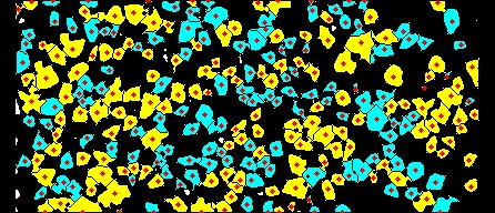 关于opencv4.1的dnn及findpeak二维极值_opencv findpeck-CSDN博客