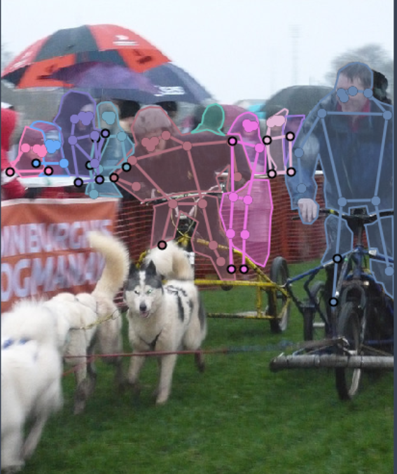 coco数据集的学习和理解_coco数据集tiny-CSDN博客