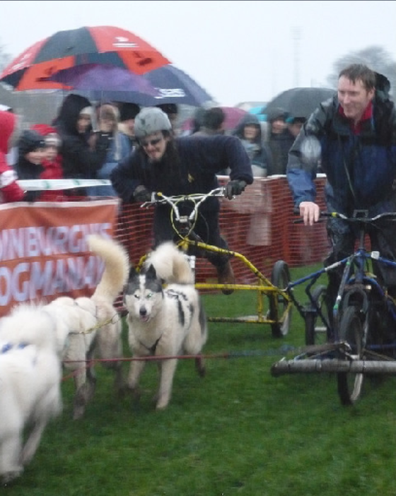 coco数据集的学习和理解_coco数据集tiny-CSDN博客