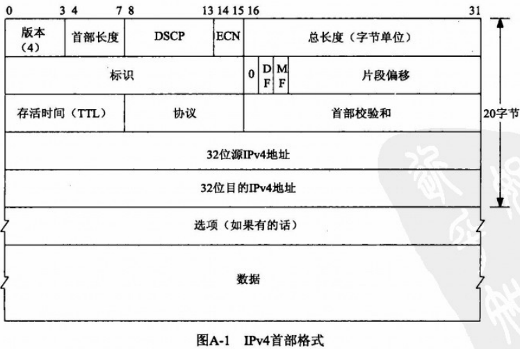 计算机网络:11---IPv4与IPv6首部结构图_ipv6的拓扑结构图怎么画-CSDN博客