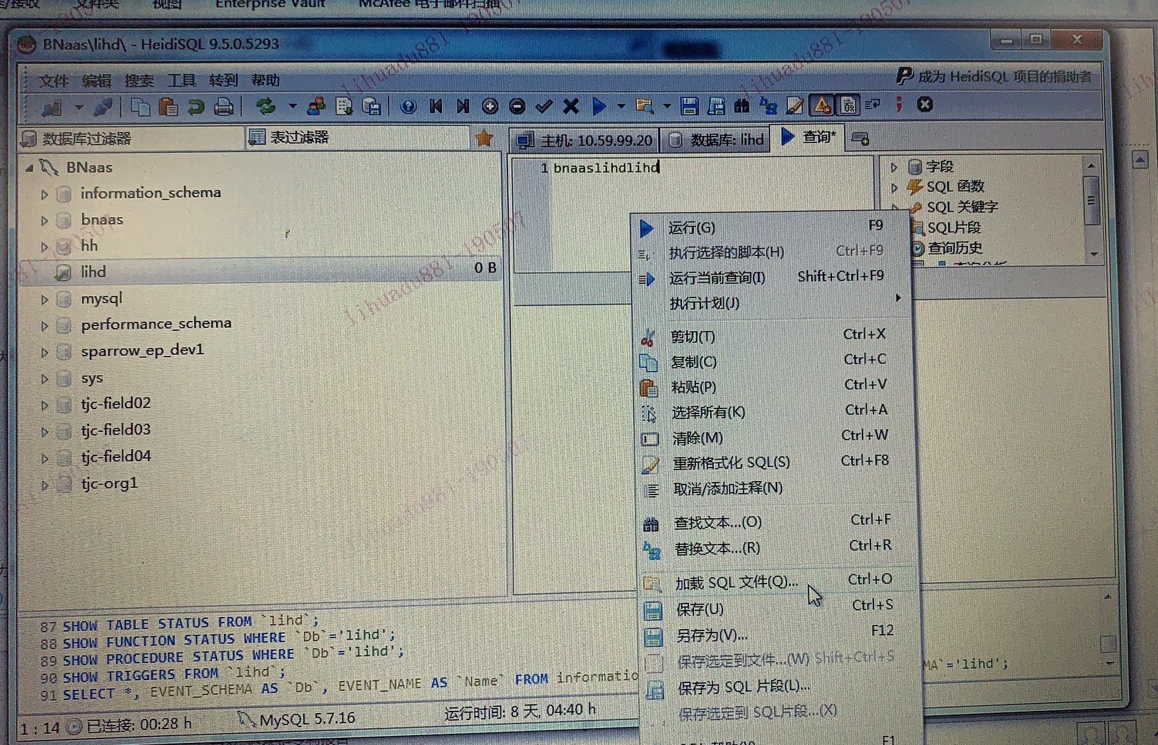 HeidiSQL 简单使用 - sweet__queen的博客 - CSDN博客