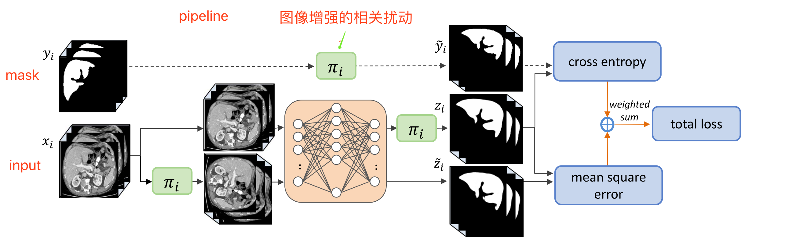 【论文阅读】医疗影像分割中的半监督学习Semi-supervised_tcsm-v2: transformation-consistent self-ensembling-CSDN博客