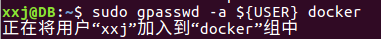 解决 docker WARNING: Error loading config file: /home/xxj/.docker/config.json: stat /home/xxj ...