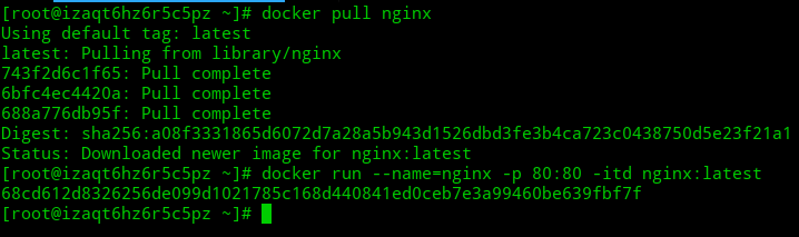 4 Docker Run 容器运行 Csdn博客