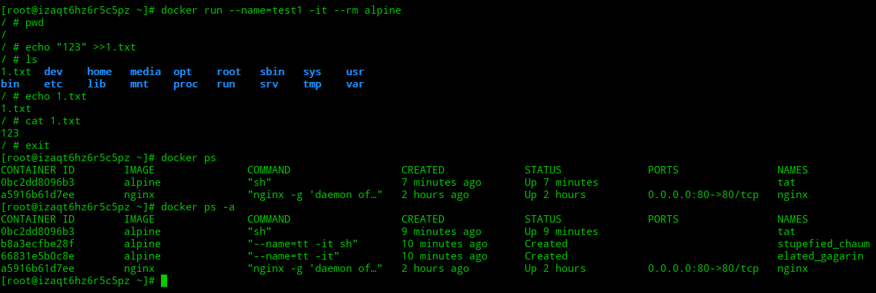 8.docker run --rm-CSDN博客