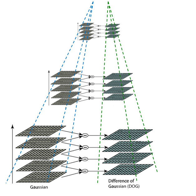 Pytorch Unet深入浅出_一维unet-CSDN博客