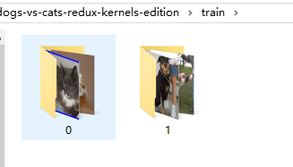 Pytorch: Cat Dog Identification Based on AlexNet - Programmer Sought