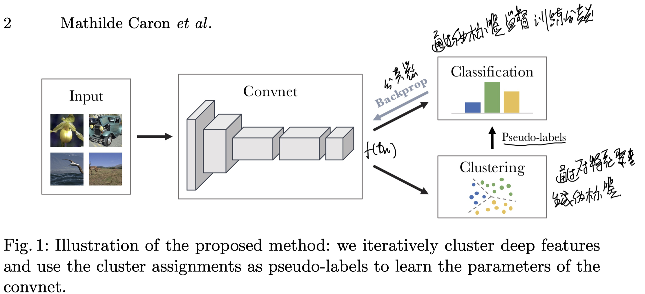 Deep-Clustering-for-Unsupervised-Learning-of-Visual-Features_deep clustering for unsupervised ...