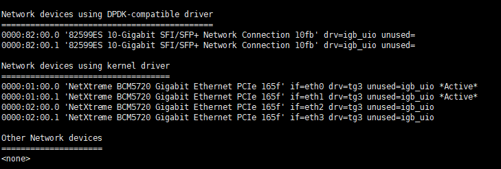 DPDK 17.11.5 + pktgen3.4.5环境搭建+利用pcap文件发包测试_pktgen 发送pcap-CSDN博客