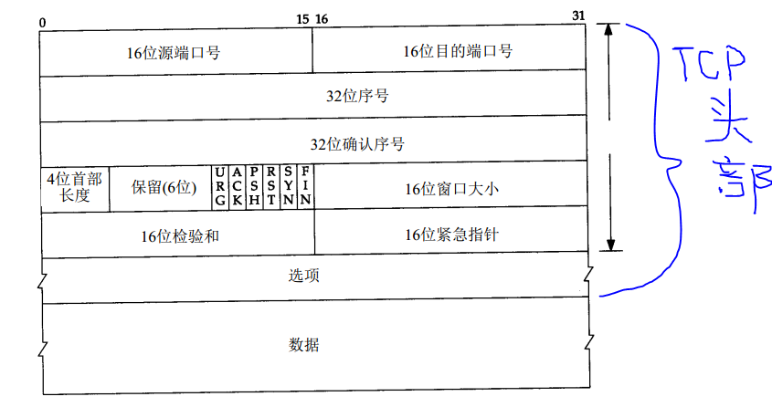 Tcp包结构解析tcp包头结构 Csdn博客 
