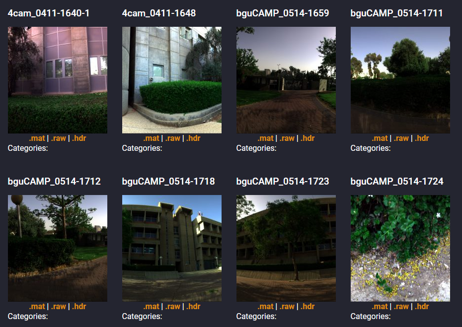 Binary image, grayscale image, RGB image and hyperspectral image ...