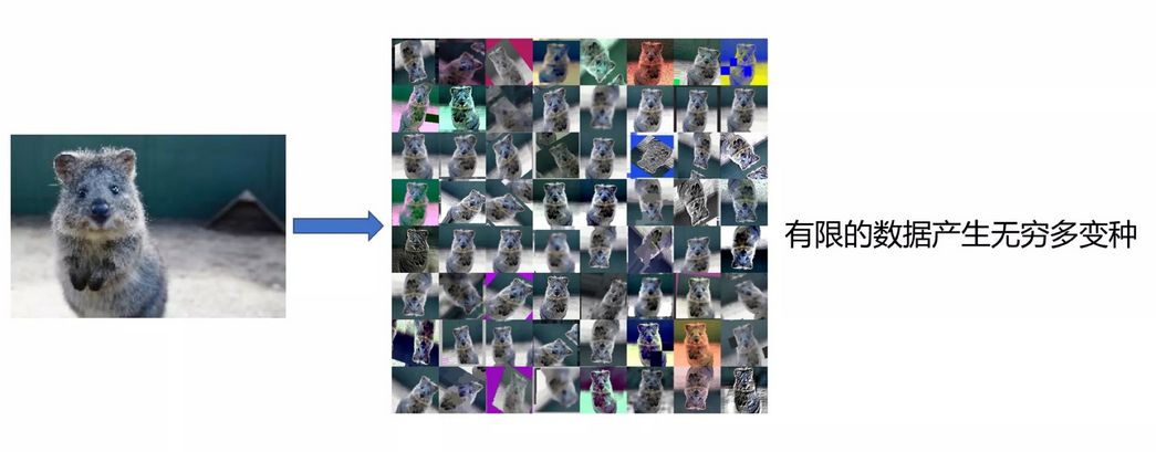 深度学习中的数据增强深度学习 Image Size Csdn博客