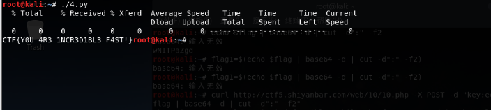 ctf---curl的使用_ctf curl-CSDN博客