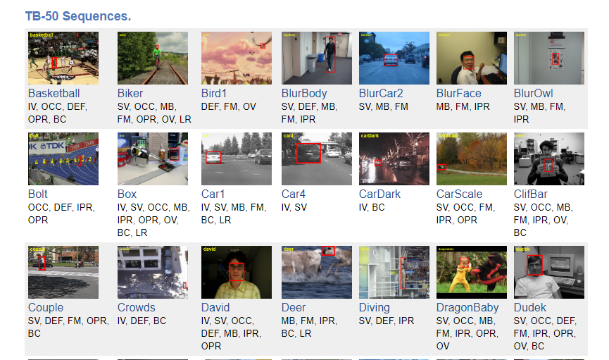 单目标跟踪OTB、VOT数据集介绍_otb数据集官网-CSDN博客