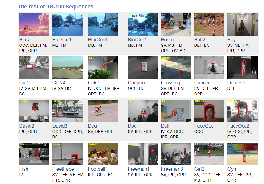 单目标跟踪OTB、VOT数据集介绍_otb数据集介绍_棒棒的小笨笨的博客-CSDN博客