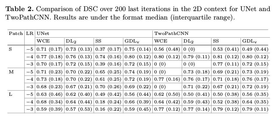 Generalised Dice Overlap as a Deep Learning Loss Function for Highly ...