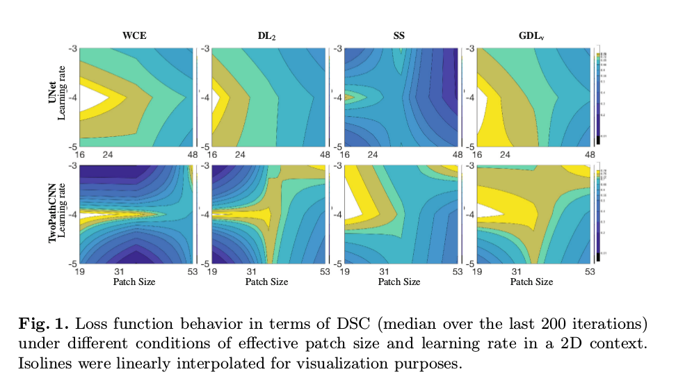 Generalised Dice Overlap as a Deep Learning Loss Function for Highly ...