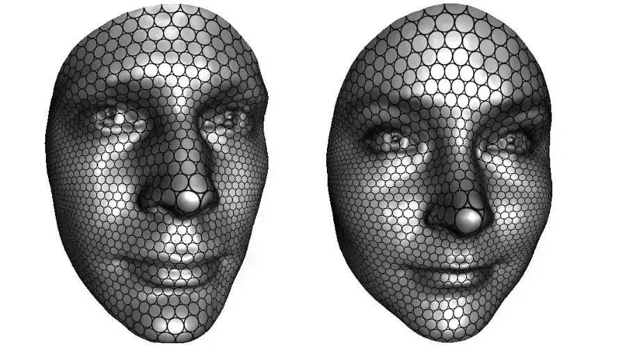 Mesh is Art（5）：Circle Packing Mesh优化及其应用_圆形packing-CSDN博客