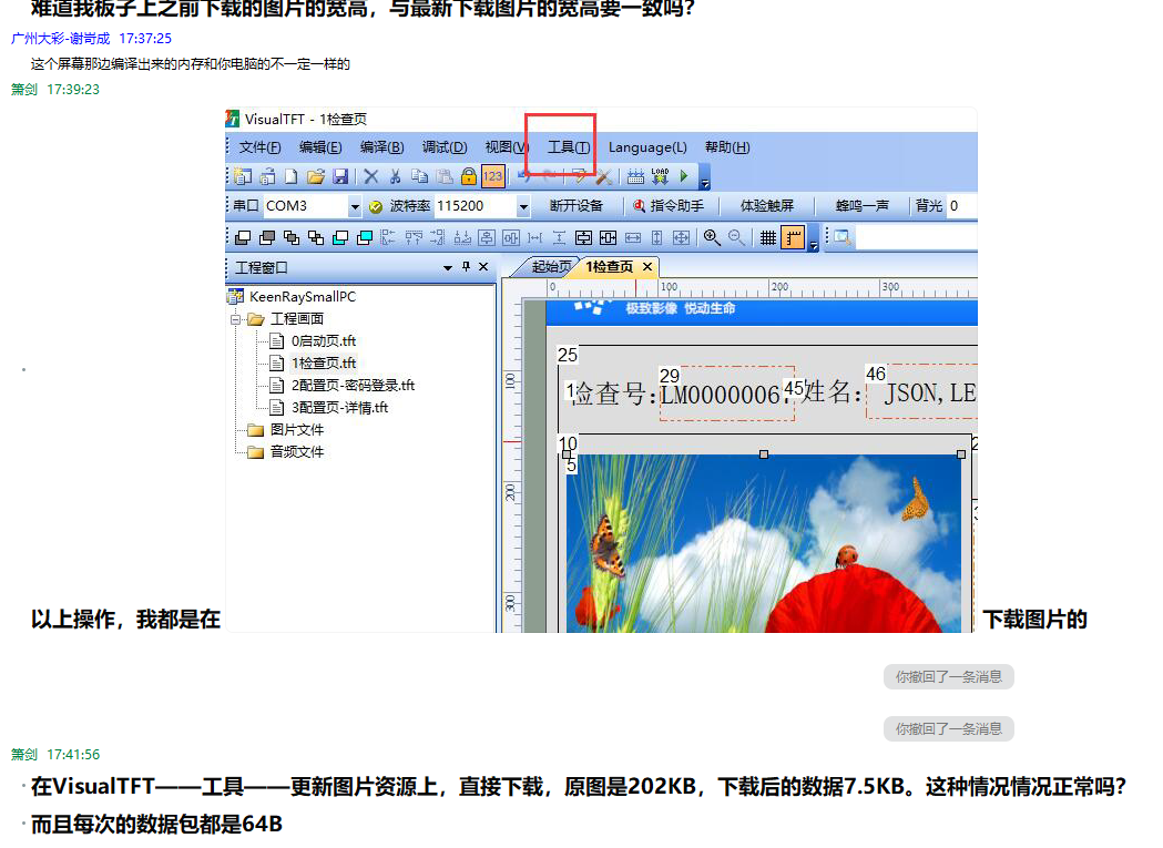 （五）结合大彩屏介绍Bus Hound：cmd.Phase.ofs(rep)-CSDN博客