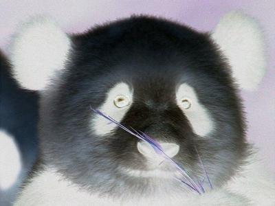 python手记（四）：pillow（二） ImageChops类 视觉冲击（图片像素点运算）_imagechops.difference-CSDN博客