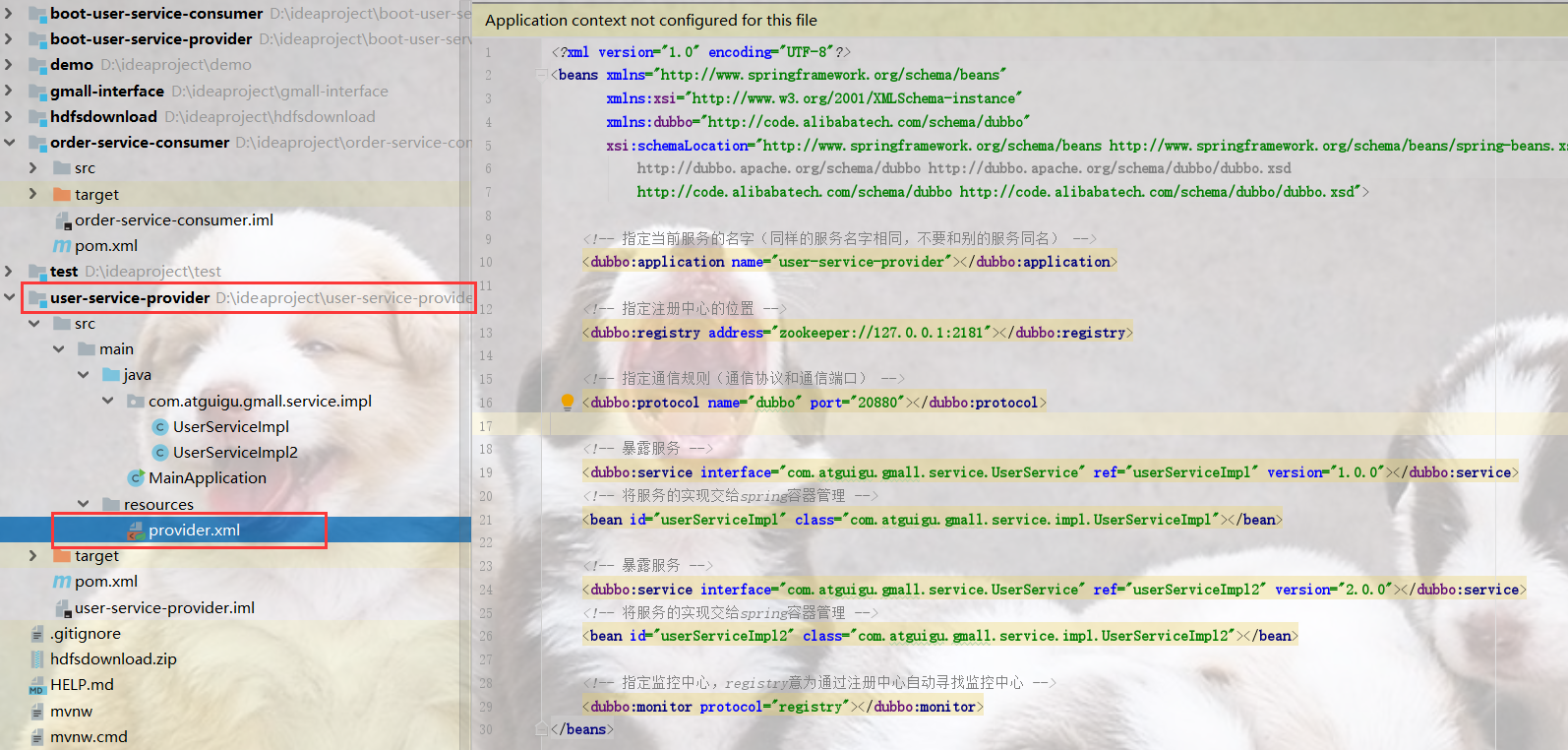 dubbo+zookeeper的使用配置详解_dubbomonitor如何配置登录zk信息-CSDN博客