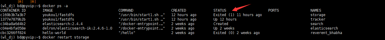 docker容器状态出现Exit(1)的问题_docker exited (1)-CSDN博客