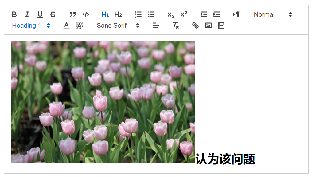 angular7中ngx-quill富文本编辑器的使用-CSDN博客
