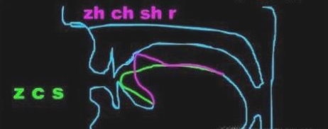 翘舌音 / 卷舌音 / 舌尖后音 - 平舌音 / 前舌音 / 舌尖前音_前舌音,后舌音,翘舌音-CSDN博客