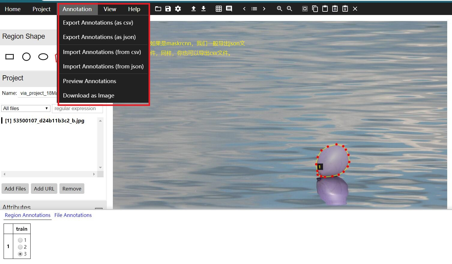 关于Mask-Rcnn中标注工具VIA（VGG Image Annotator）使用的详解_via 视频标注 如何使用-CSDN博客