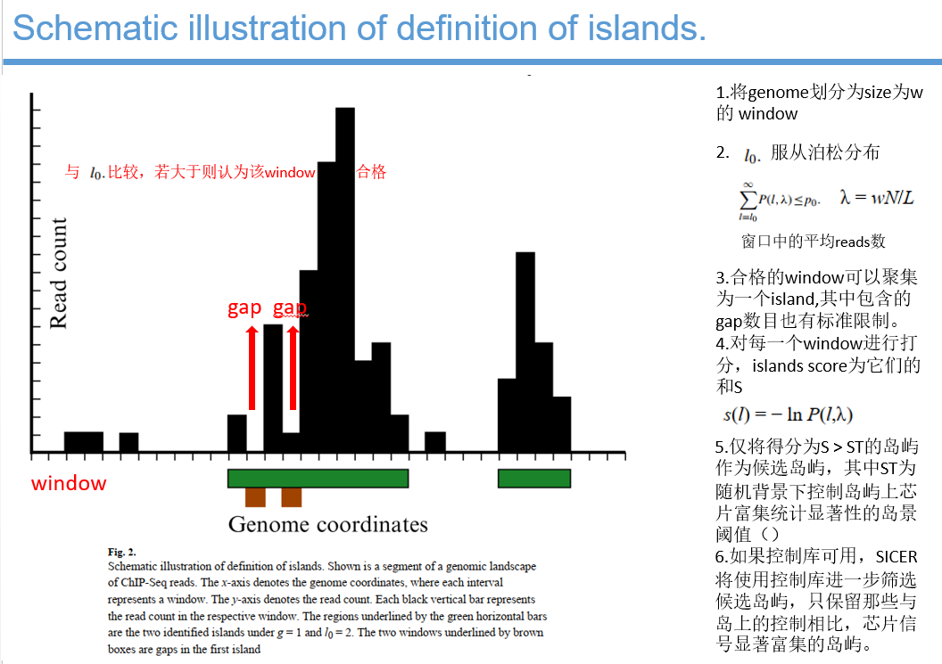 call peak的另一个软件-----SICER_sicer安装-CSDN博客