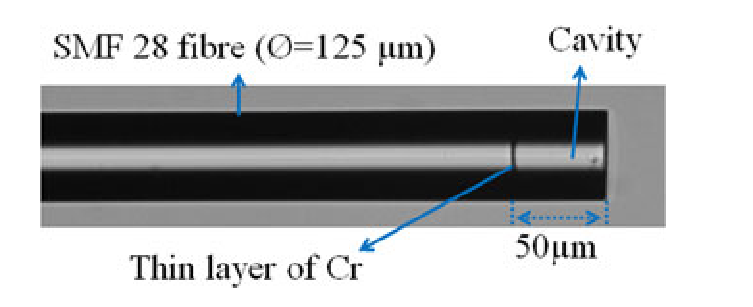 FP腔调研_CHUYE0727的博客-CSDN博客