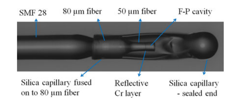 FP腔调研_CHUYE0727的博客-CSDN博客