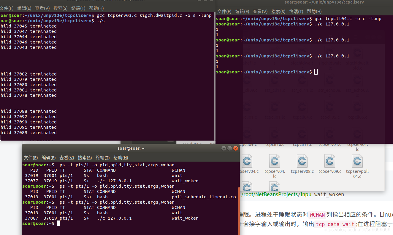 Unix网络编程(五) Tcp客户服务器程序示例当fork子进程时必须捕获sigchld信号 Csdn博客