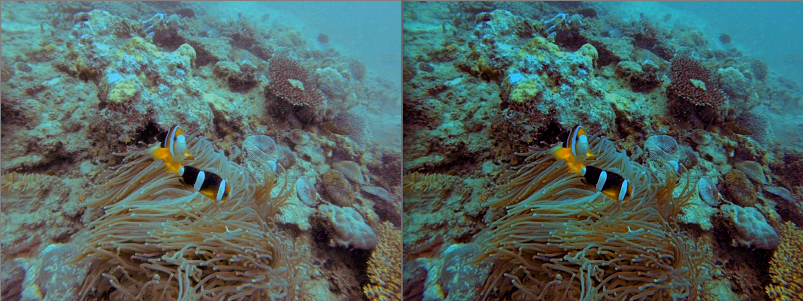 水下图像增强改进6_图像处理 dive-CSDN博客