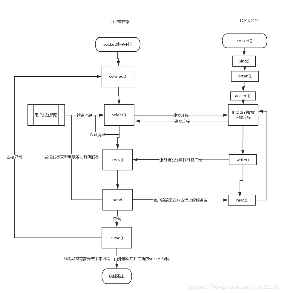 Linux系统shell查看SOCKET情况和socket编程概述_shell socket-CSDN博客