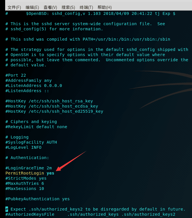 kali 开启ssh服务_kali怎么开启sshd服务-CSDN博客