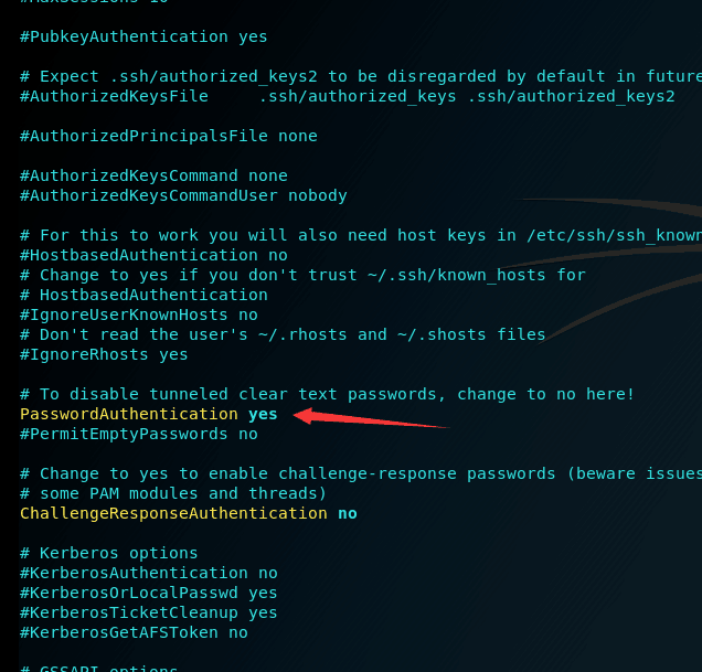 kali 开启ssh服务_kali怎么开启sshd服务-CSDN博客