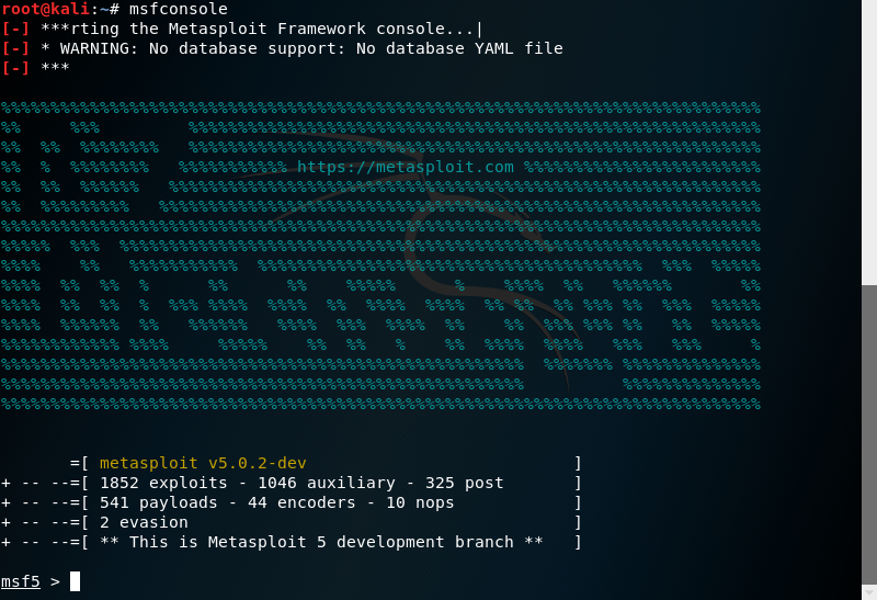 Linux漏洞攻击实验_linux本地漏洞检测报告-CSDN博客