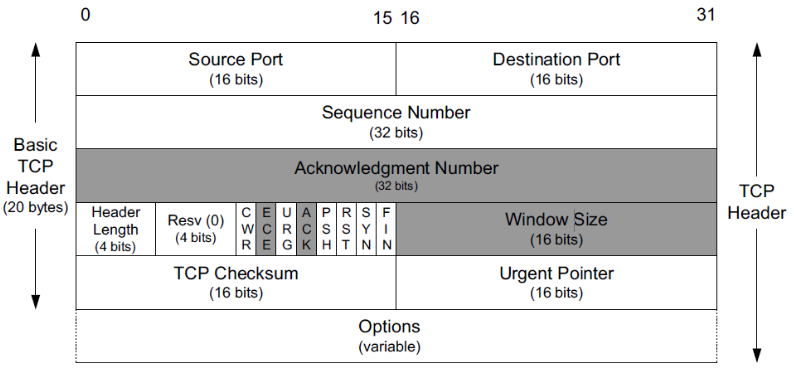 3.TCP协议头详解（包含选项部分）_tcp协议 消息头-CSDN博客