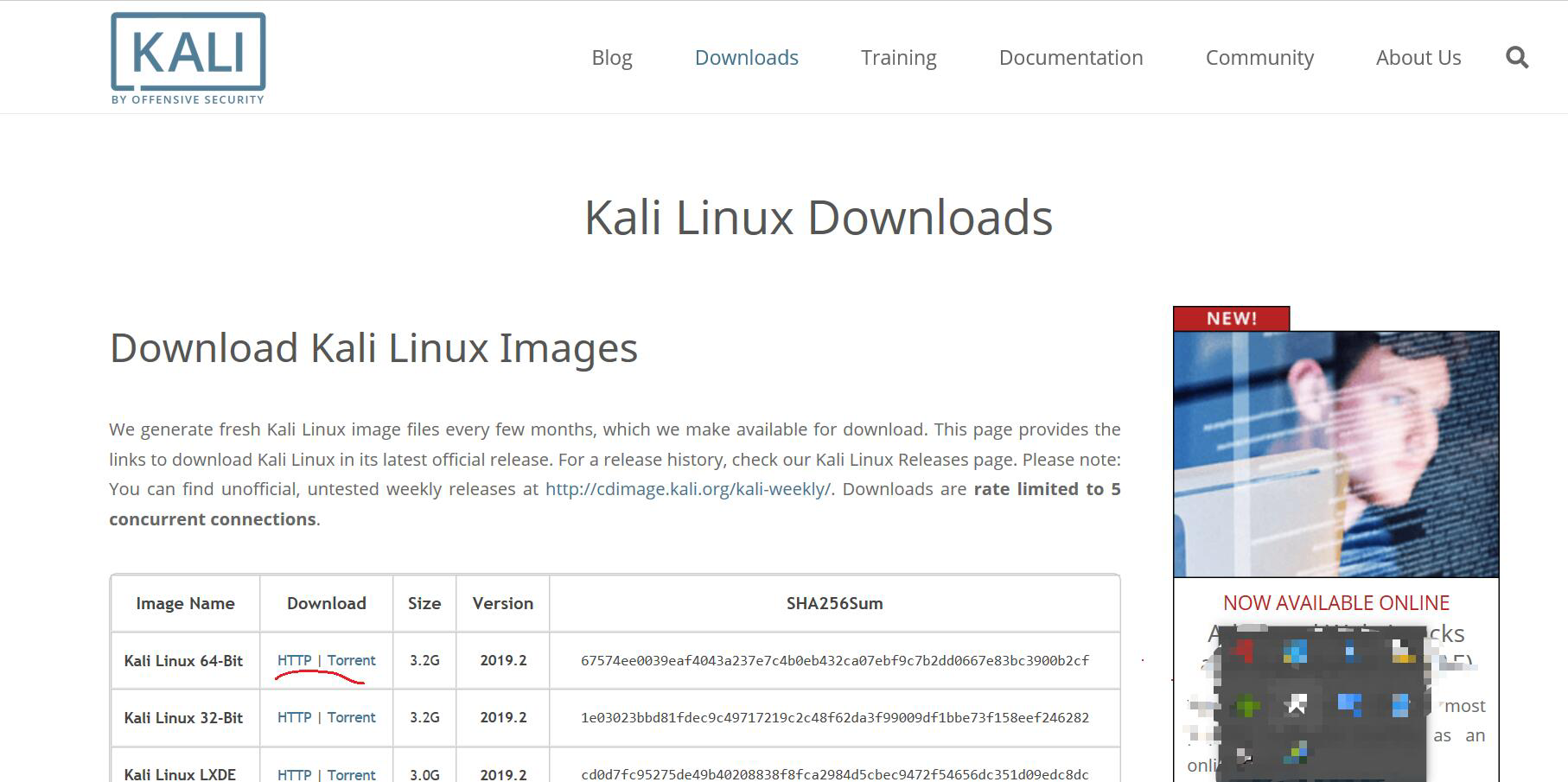 Kali Linux安装和nmap运行_kali namp按装-CSDN博客