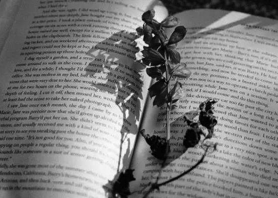 Opencv Python 6 阈值分割python Opencv阈值分割 Csdn博客