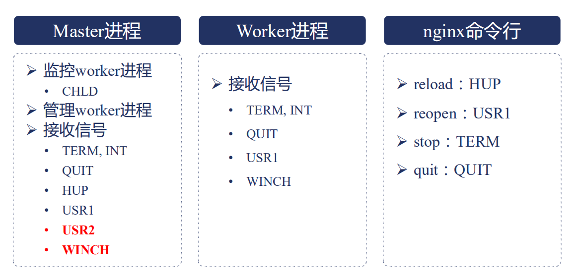Nginx核心要领二：Nginx进程模型_nginx 核心进程模型-CSDN博客