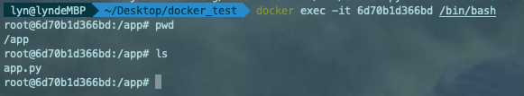 Docker Exec命令 Docker Exec O Csdn博客