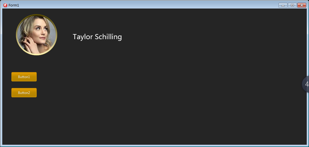使用stylebook制作精美界面的方法(firemonkey)_如何设计并使用firemonkeystyle-CSDN博客