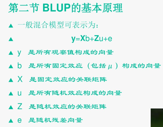 最全的BLUP分析_r语言blup分析-CSDN博客